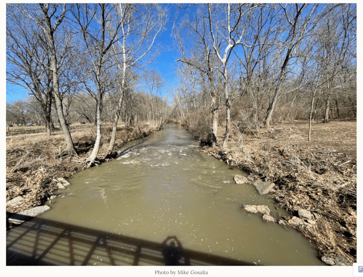 Interview with Mike Gosalia, Editor-in-Chief of The Tomahawk Creek ...